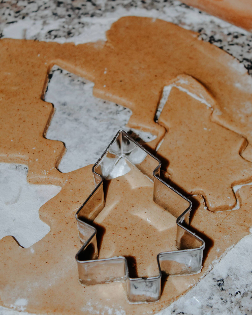 Healthy Gingerbread Cookies with Collagen Peptides - Amandean